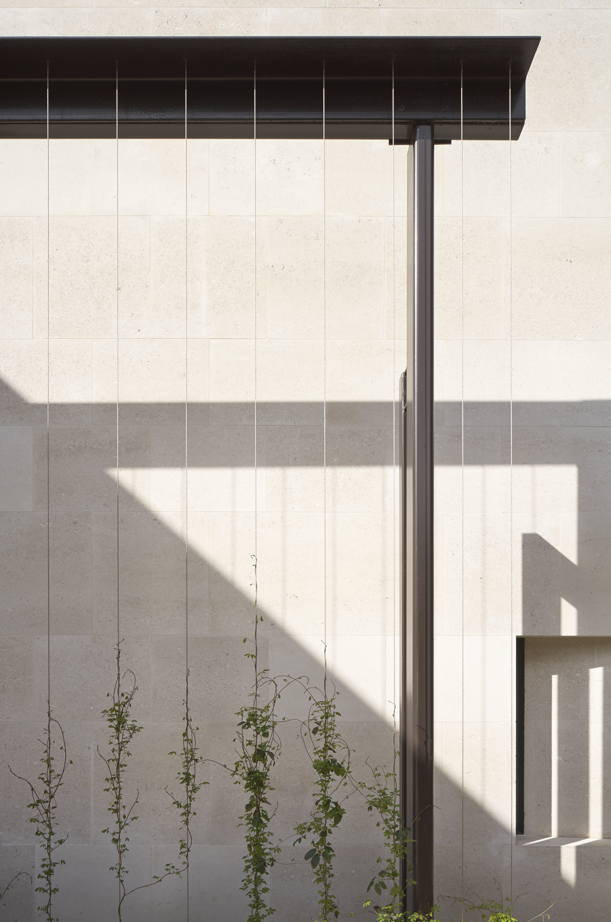 Marcus Beale Architects - RIBA Chartered Firm in Wimbledon London